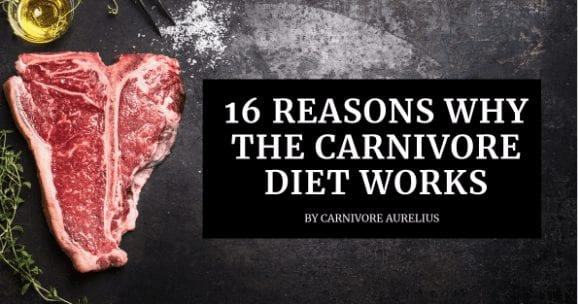 16 Reasons Why The Carnivore Diet May Work (The Science Behind it ...