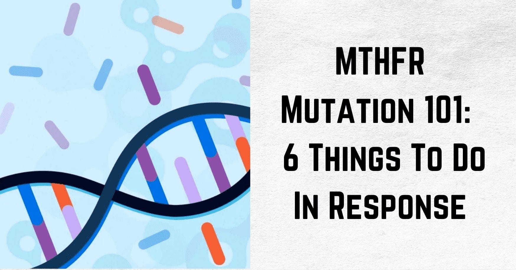 MTHFR Mutation 101: What it is and 6 Things To Do In Response ...